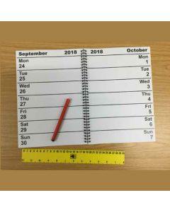 Diaries & Calendars | The Partially Sighted Society